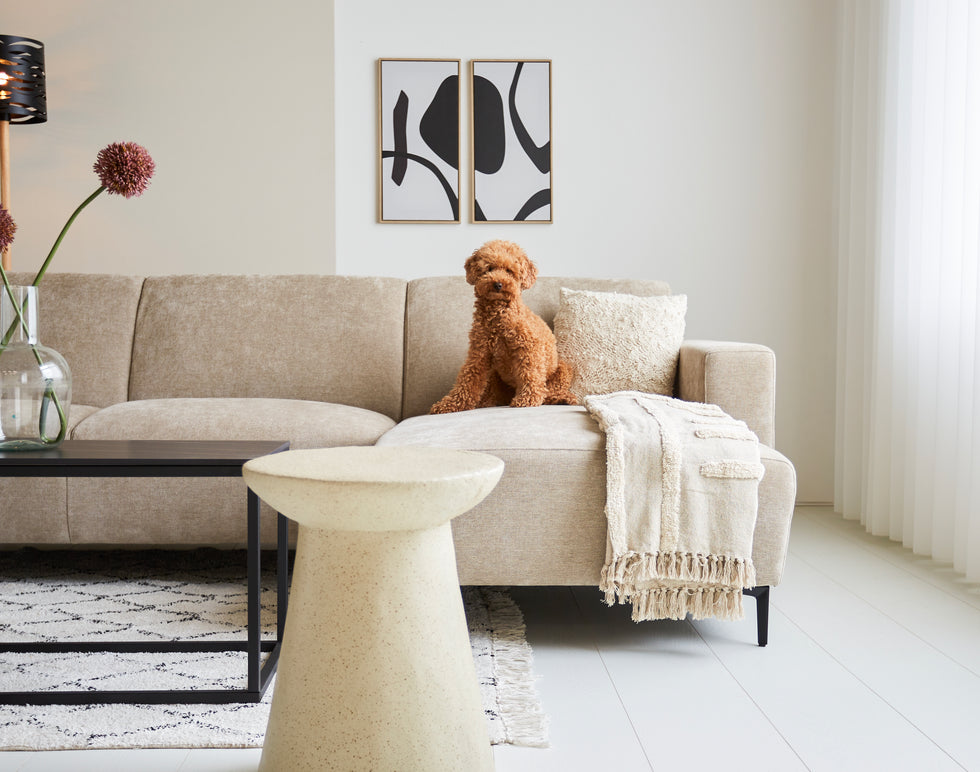 Dimehouse - Stylish Homes, Savvy Prices!